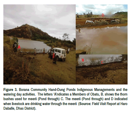 civil-environmental-engineering-hand-dung-ponds