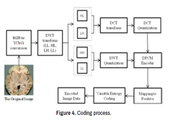 computer-science -systems-biology-process