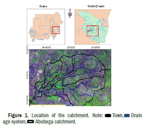 Hilaris SRL | Content Admin
